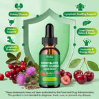 boost your kidney function naturally