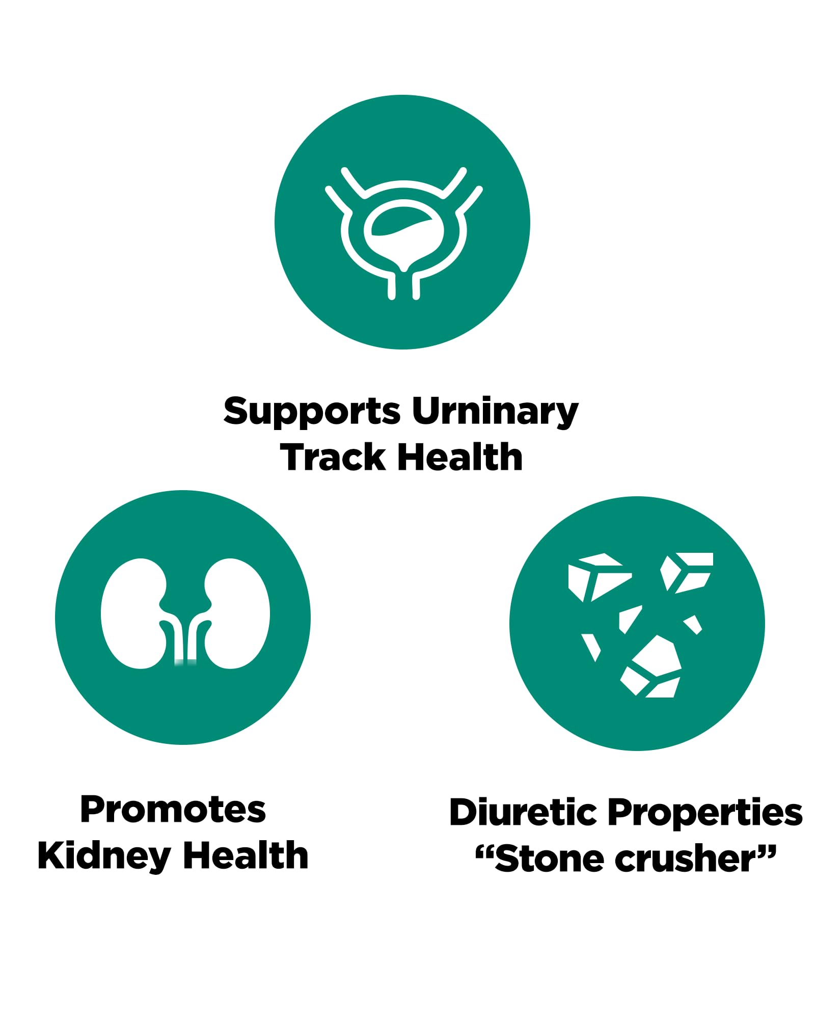 boost your kidney health naturally