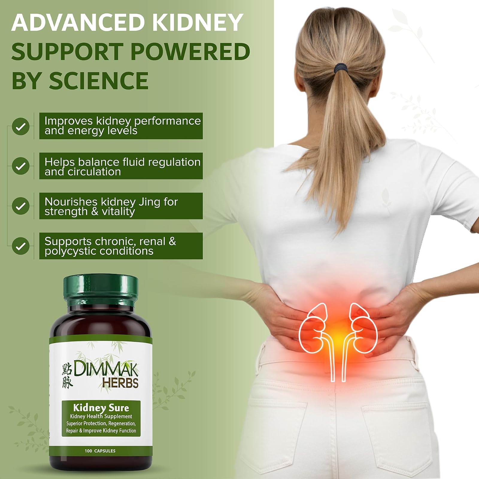boost your kidney wellness