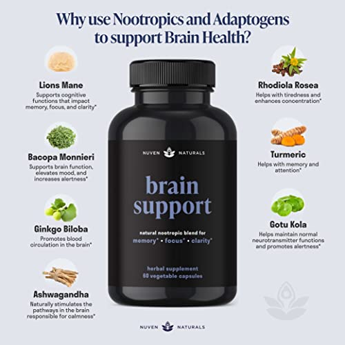 boost your memory with ginkgo biloba