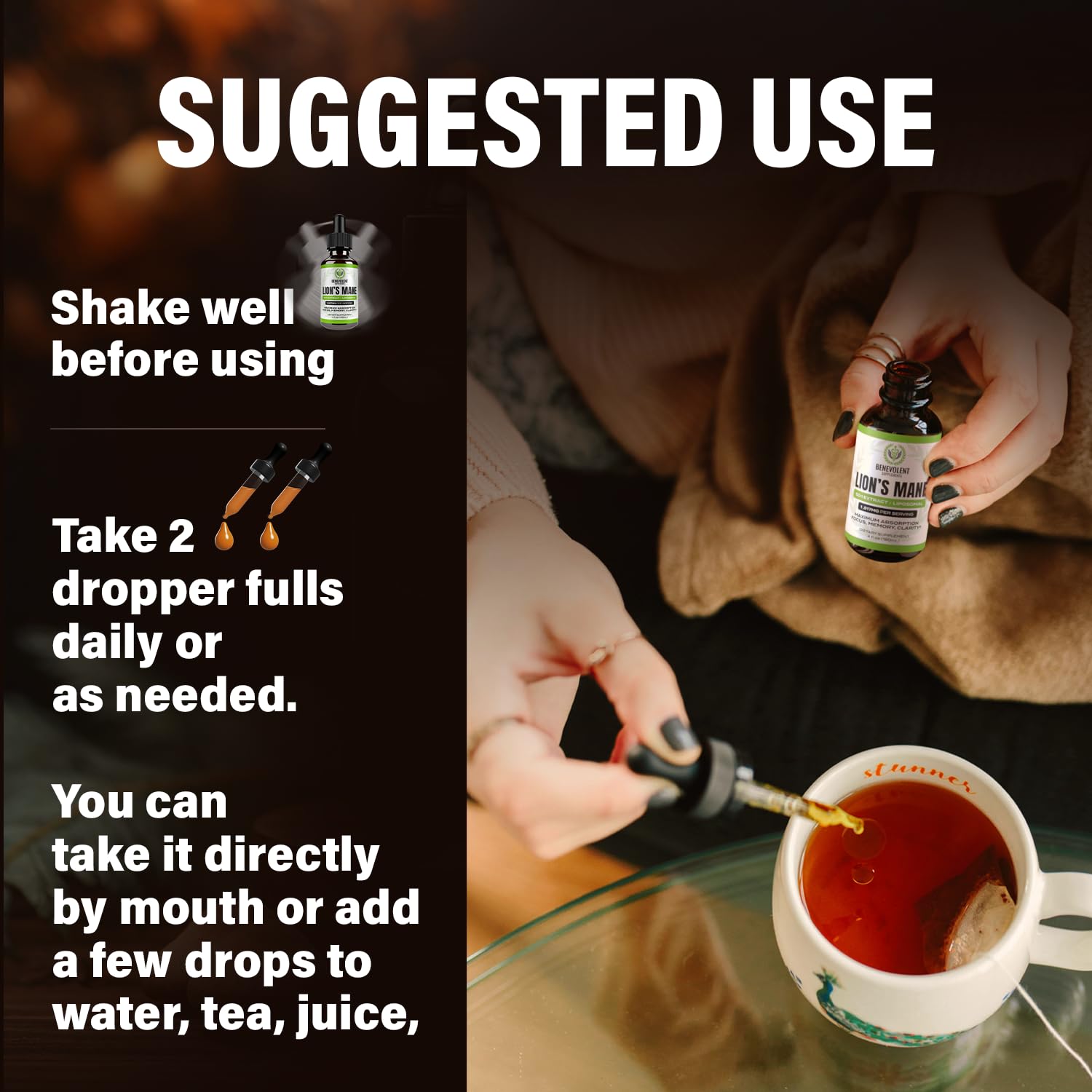 boost your memory with mushrooms