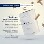 Boost your metabolism with ELYSIUM