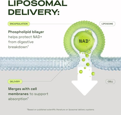 Boost your metabolism with NAD+