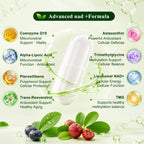 Boost your metabolism with NAD+