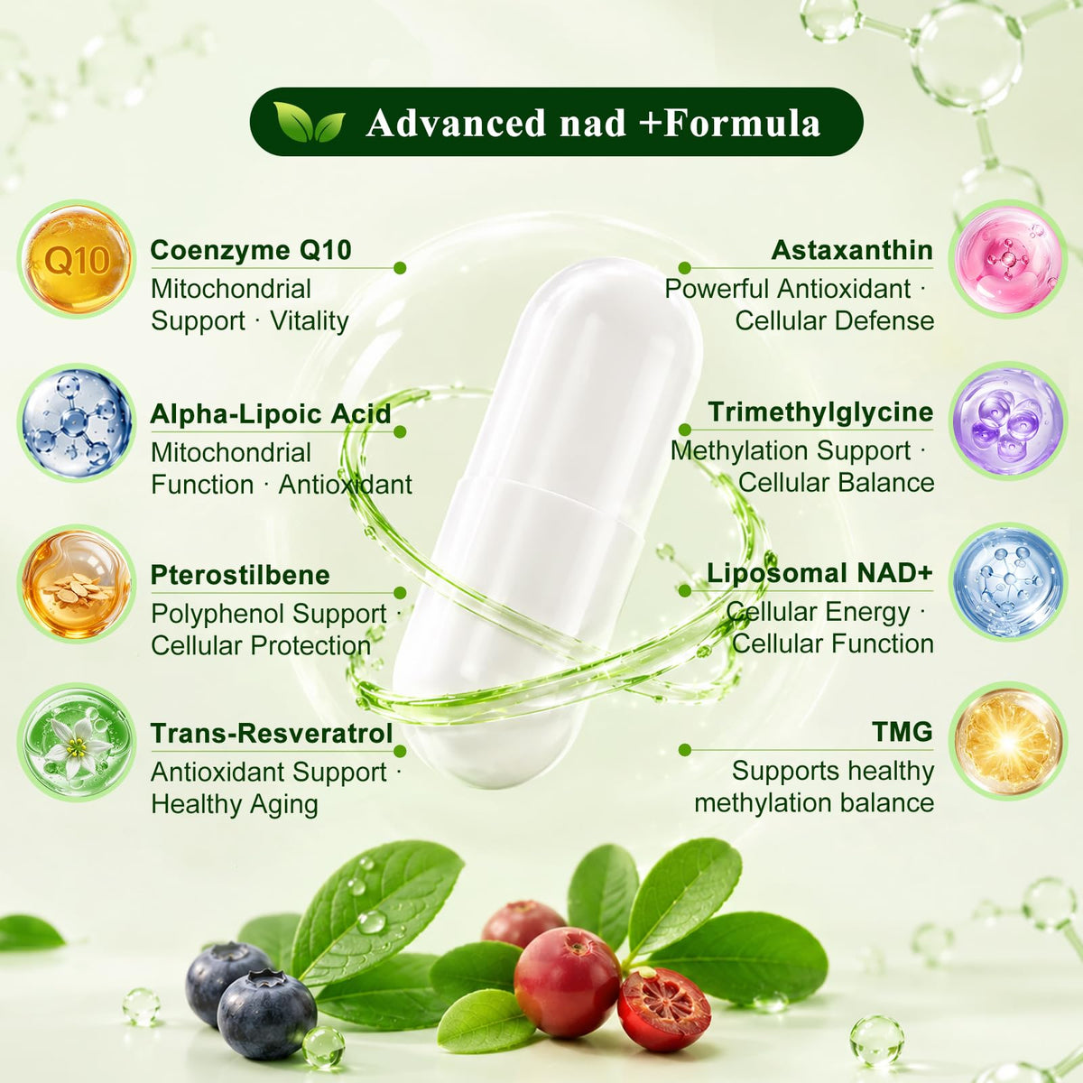 Boost your metabolism with NAD+