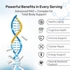 Boost your metabolism with NAD+