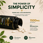 boost your metabolism with NAD