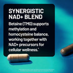 Boost your metabolism with NAD+