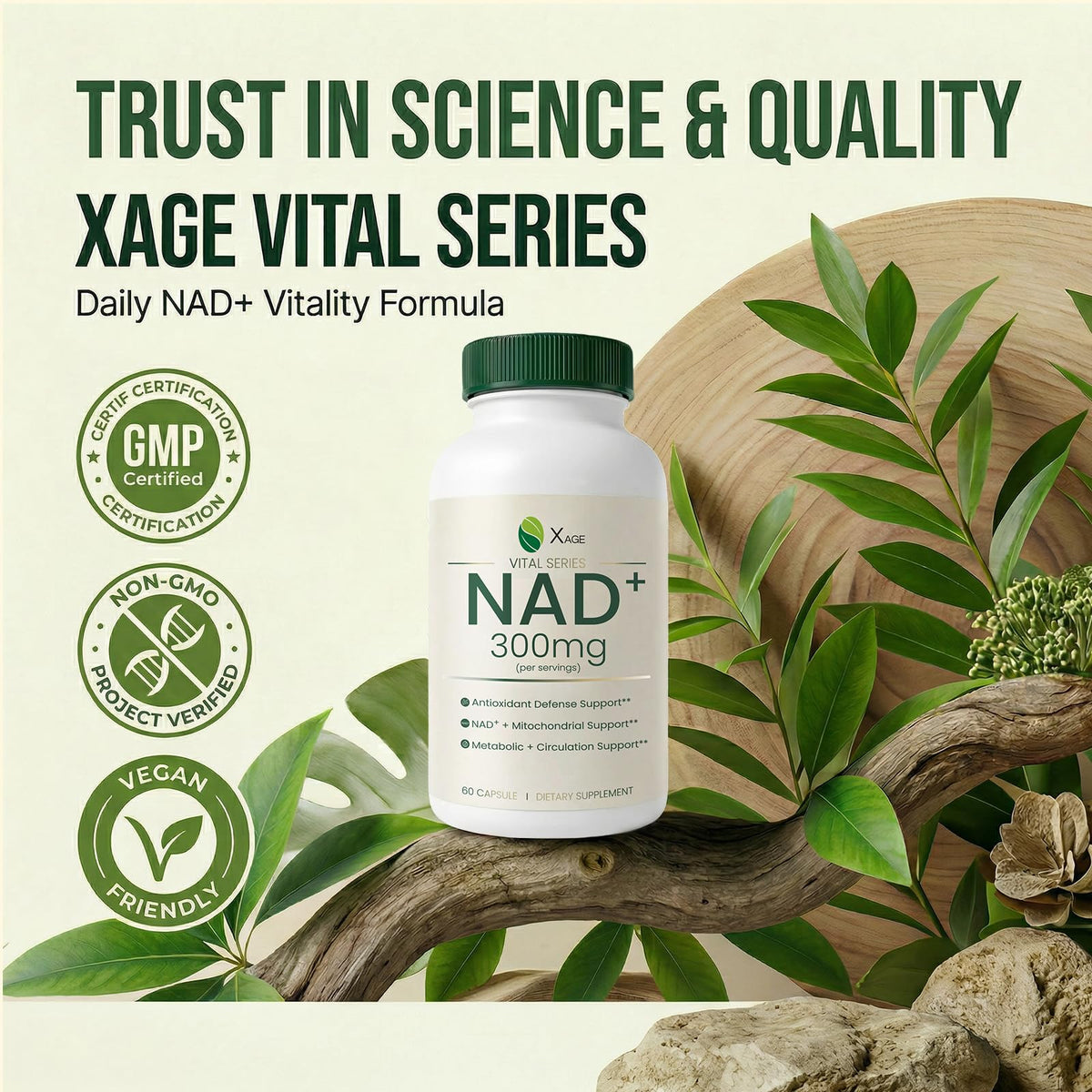 Boost your metabolism with NAD+