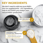 Boost your metabolism with nicotinamide