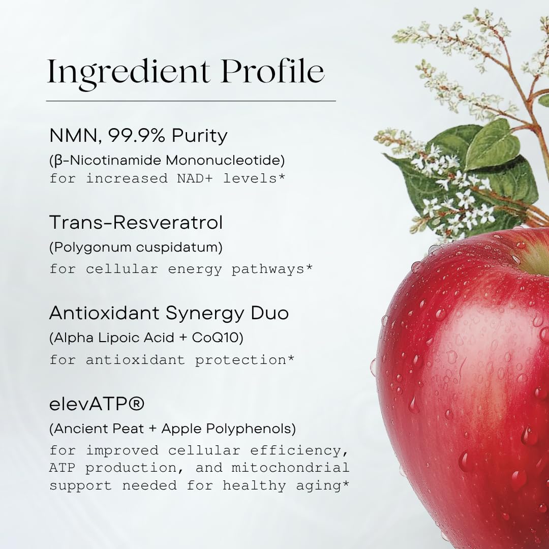 Boost your metabolism with NMN