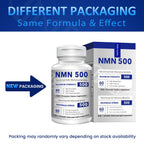 boost your metabolism with NMN