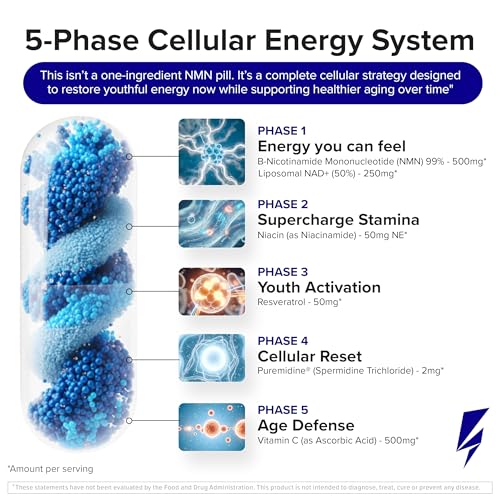 Boost your metabolism with NMN+