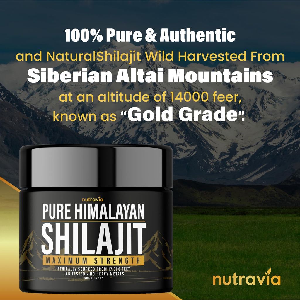 boost your minerals with shilajit