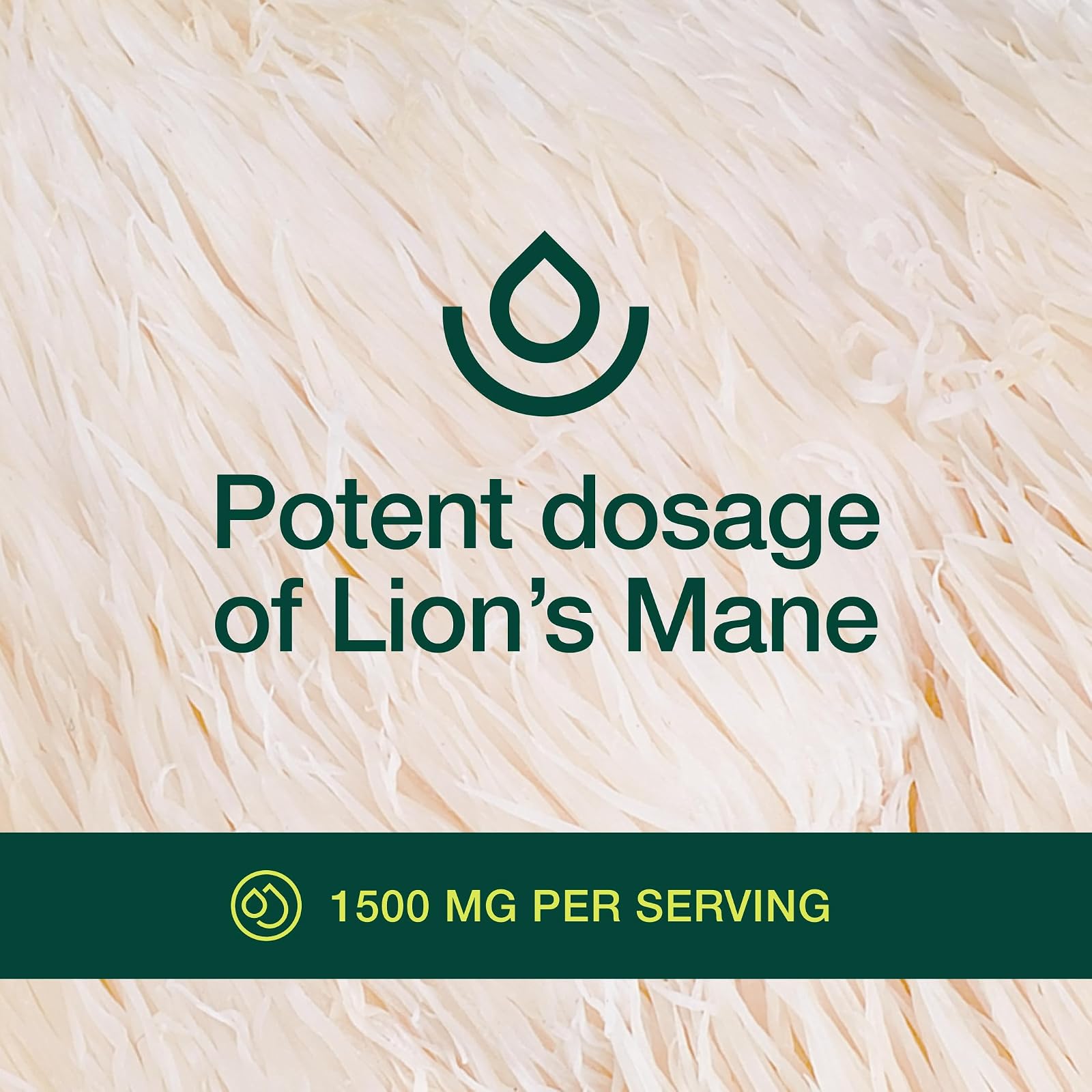 boost your mood with lion's mane