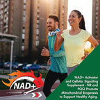 Boost your NAD+ levels naturally