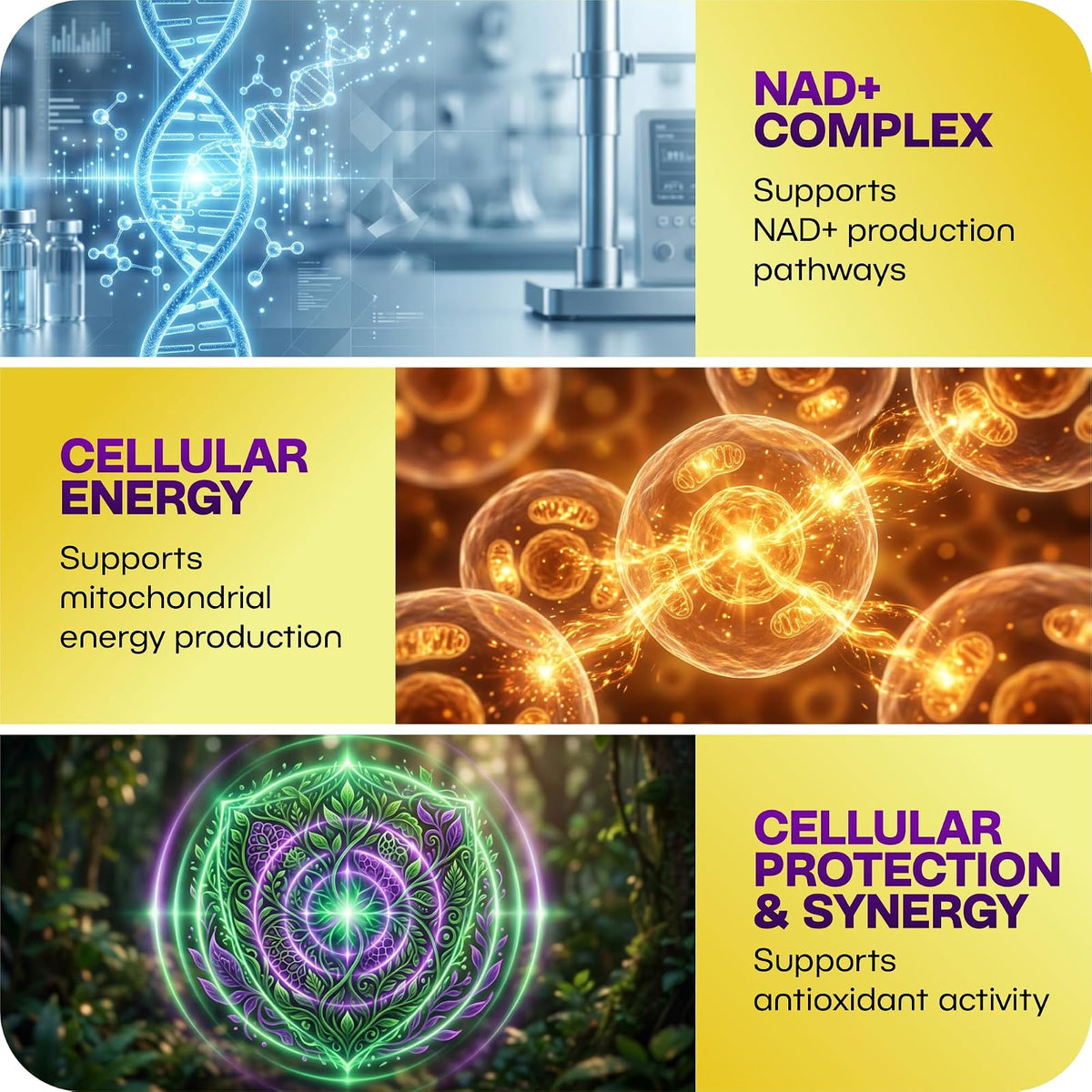 Boost your NAD+ levels naturally