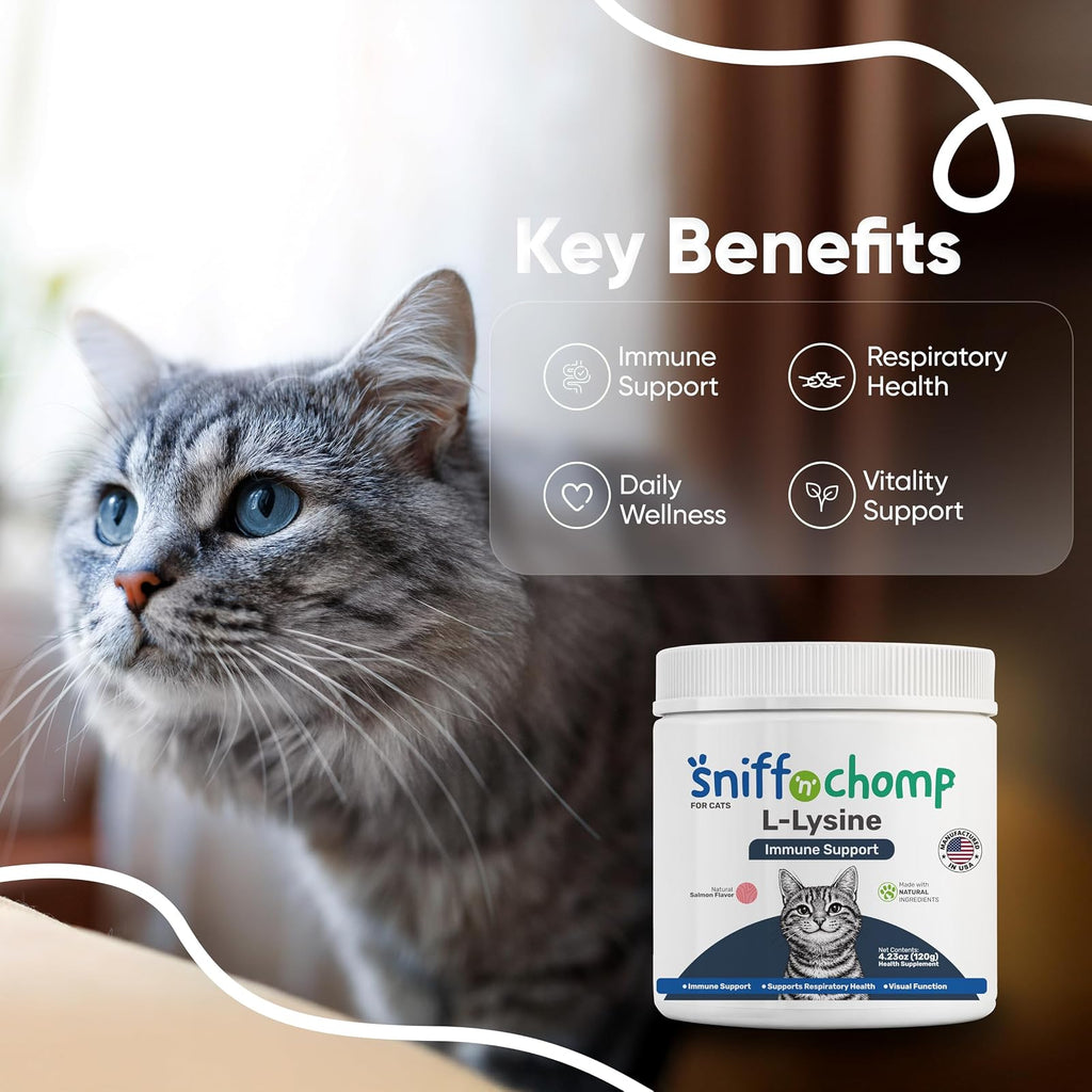 Boost your pet's immune system with L-Lysine
