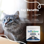 Boost your pet's immune system with L-Lysine