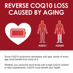 boost your vitality with coq10