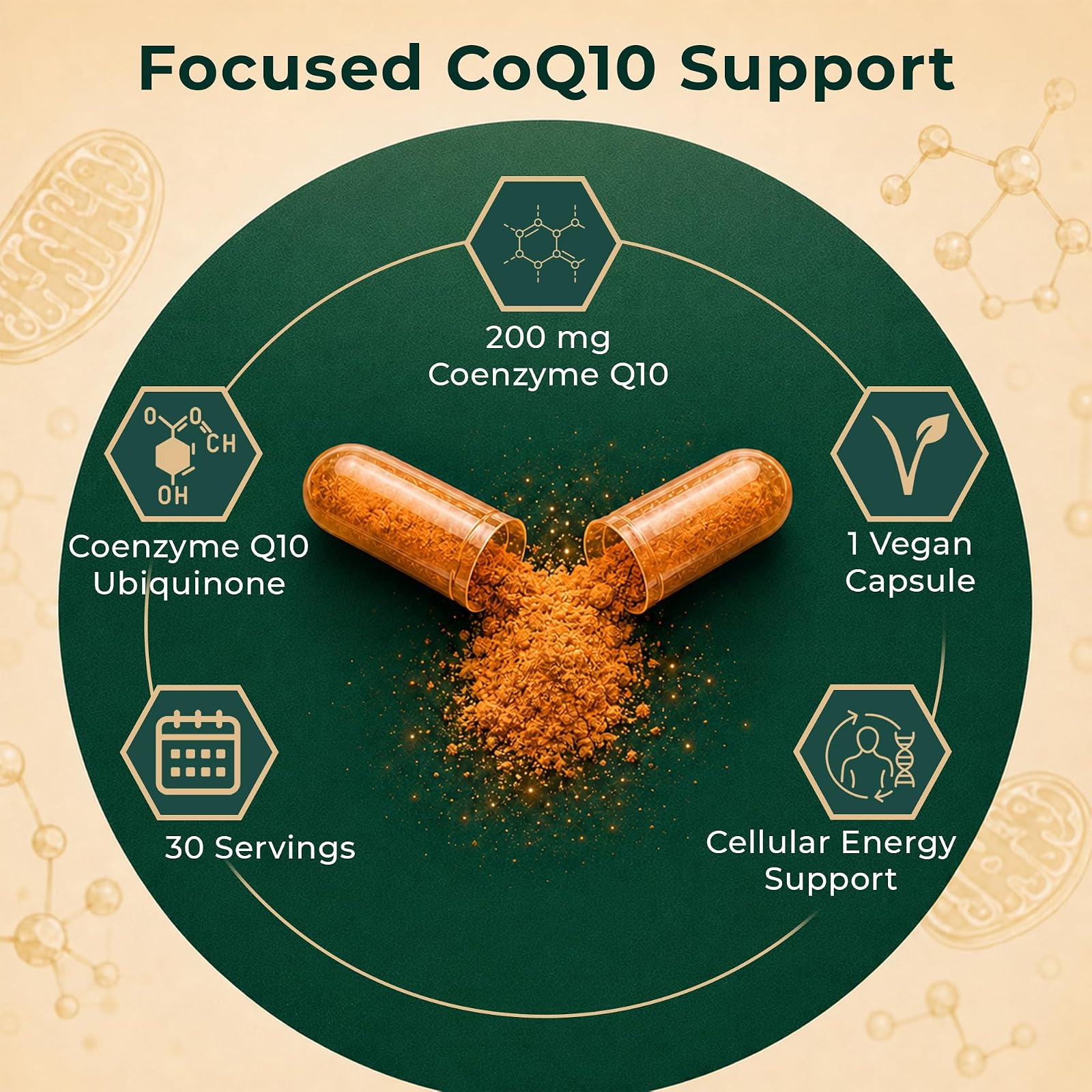 boost your vitality with CoQ10