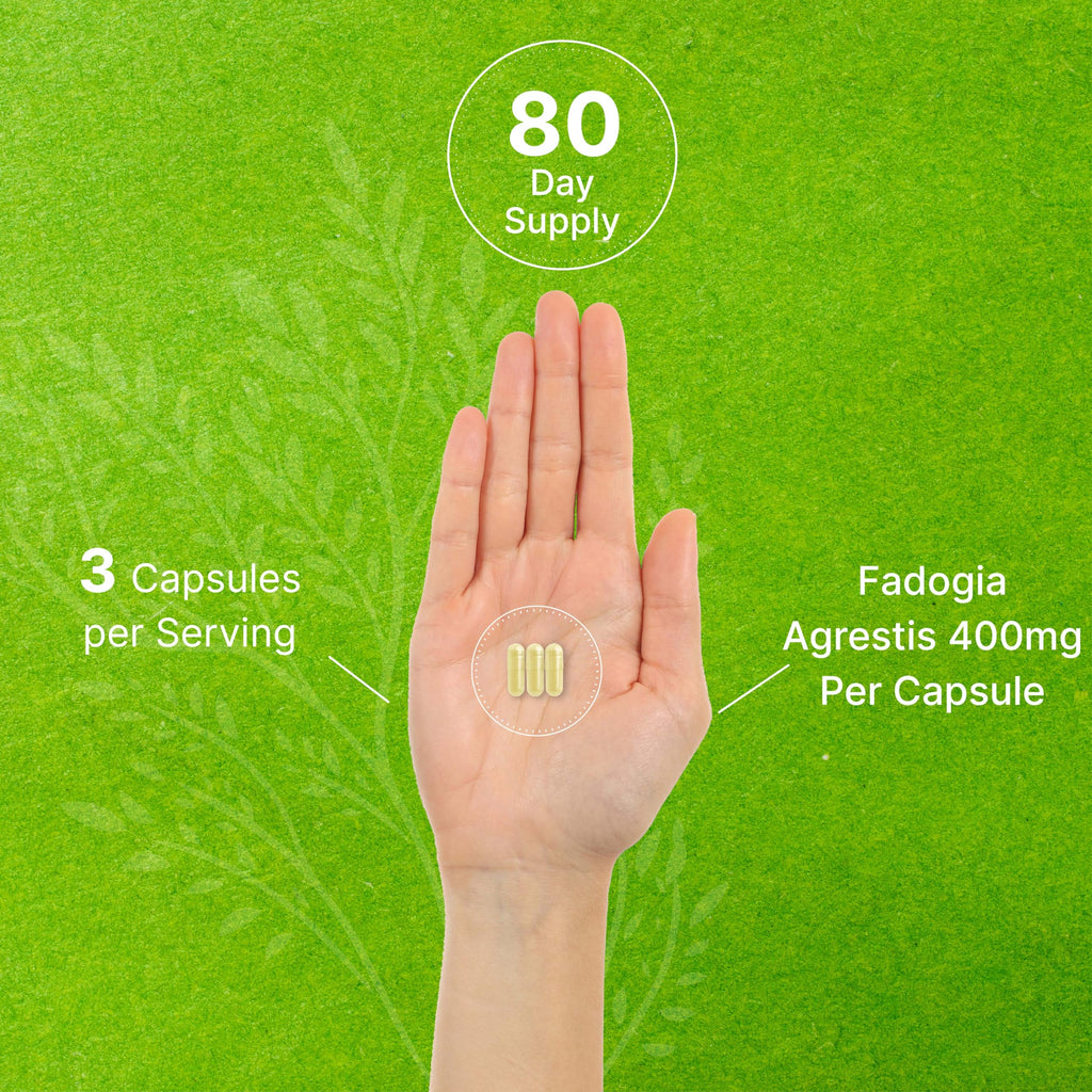 boost your vitality with Fadogia