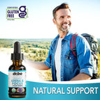boost your vitality with ginkgo biloba