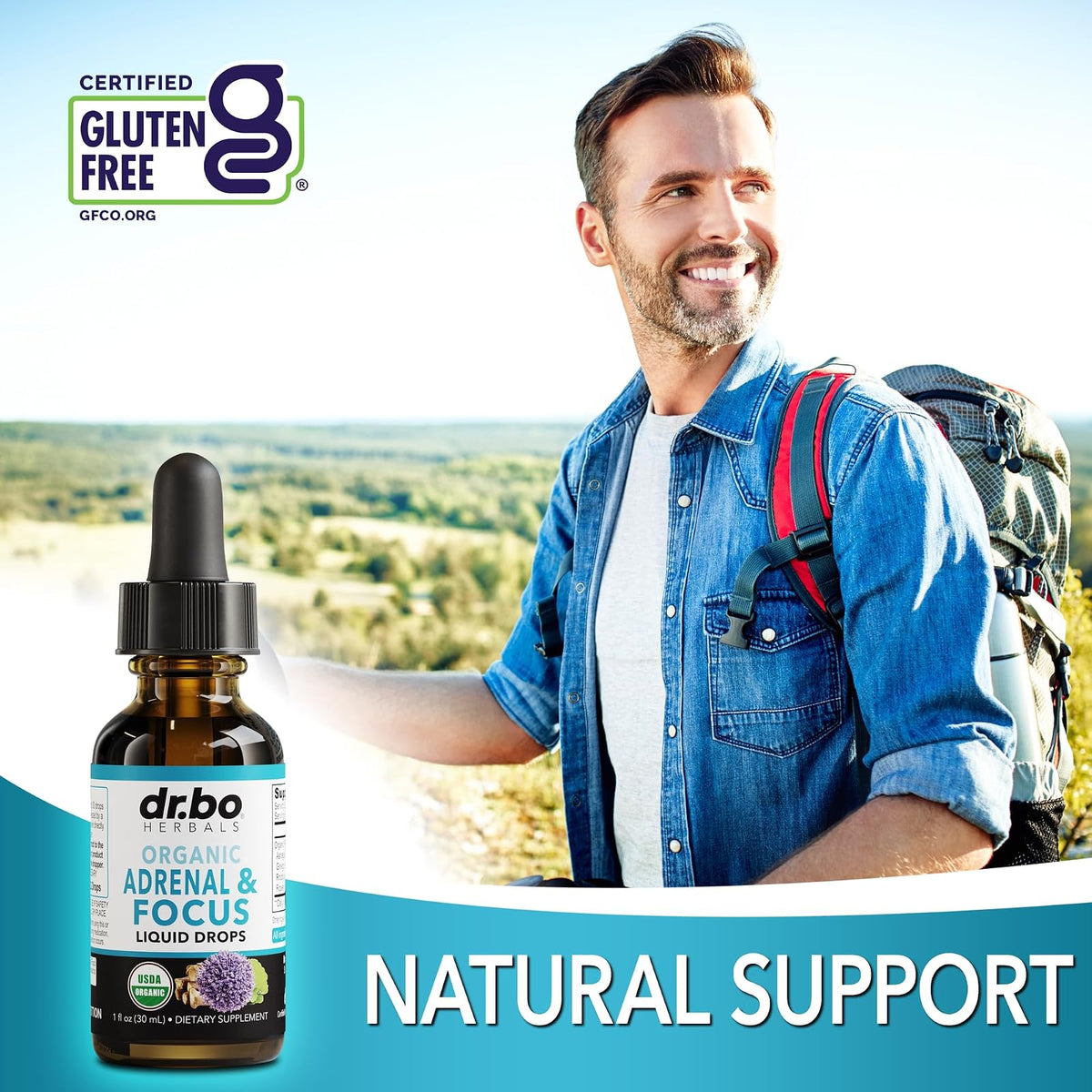 boost your vitality with ginkgo biloba