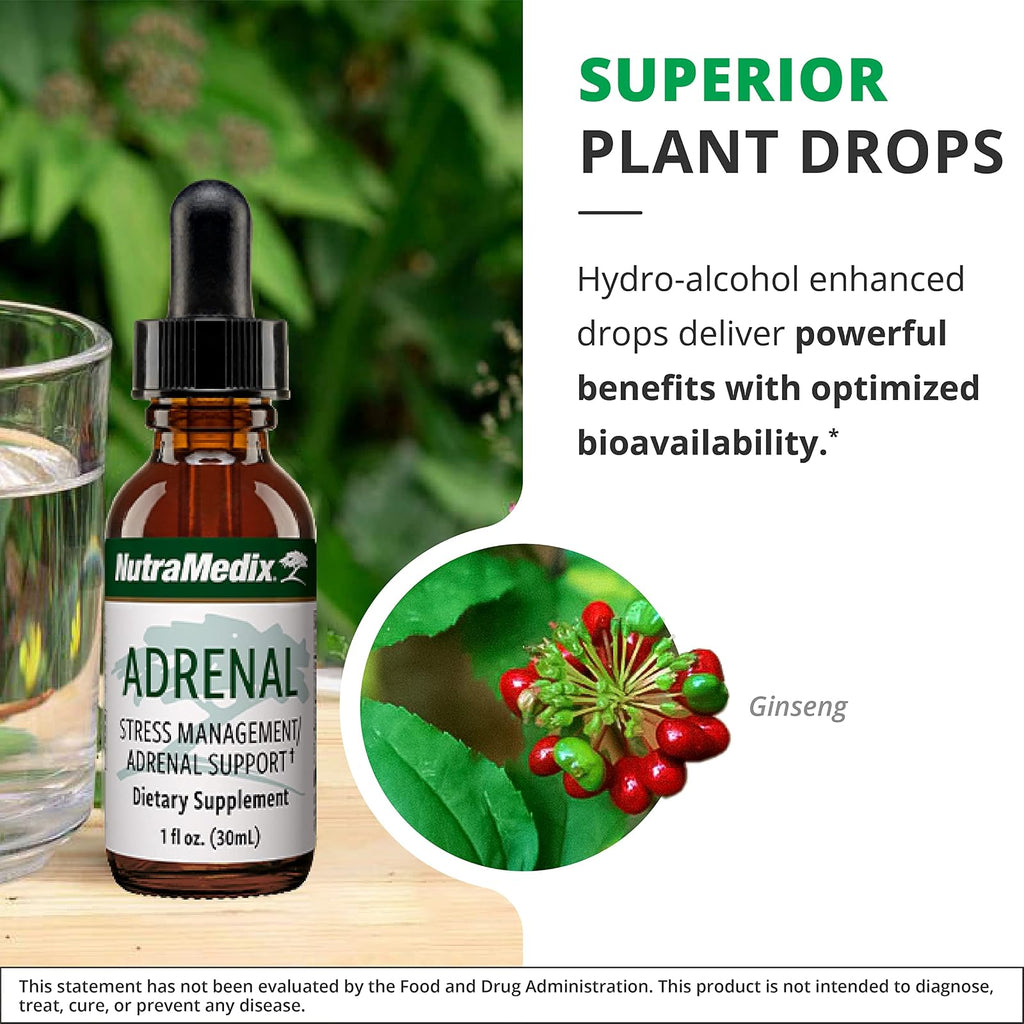 boost your vitality with herbal blends
