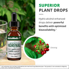 boost your vitality with herbal blends