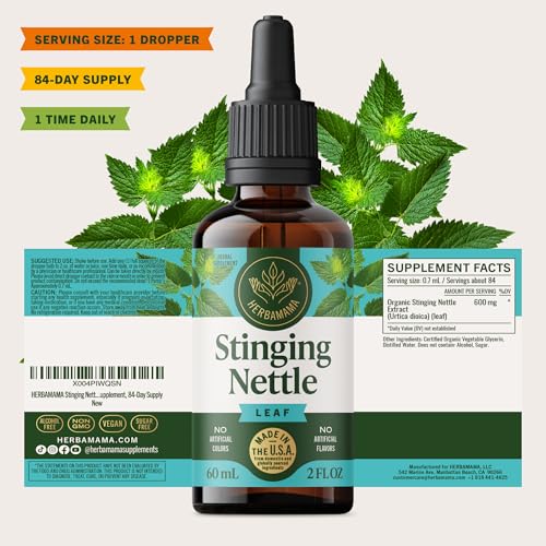 boost your vitality with nettle extract