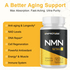 boost your vitality with NMN lozenges