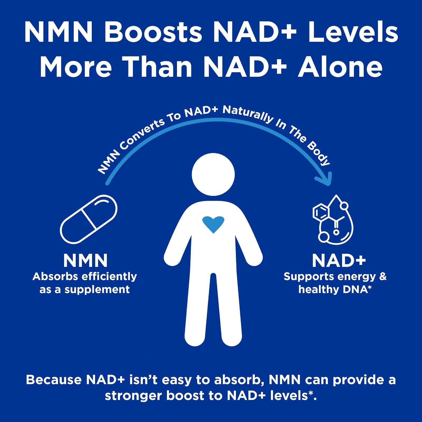 Boost your vitality with NMN