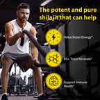 Boost your vitality with Shilajit