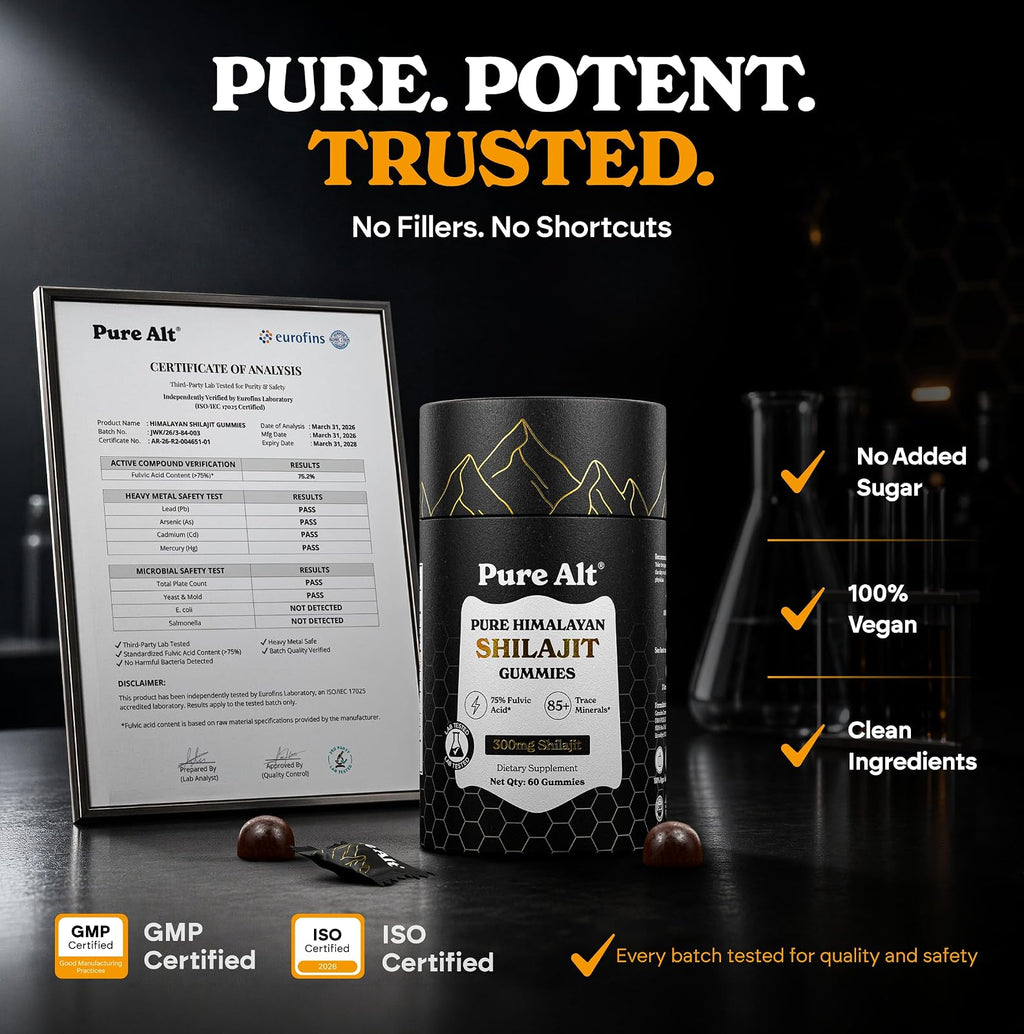 boost your vitality with Shilajit