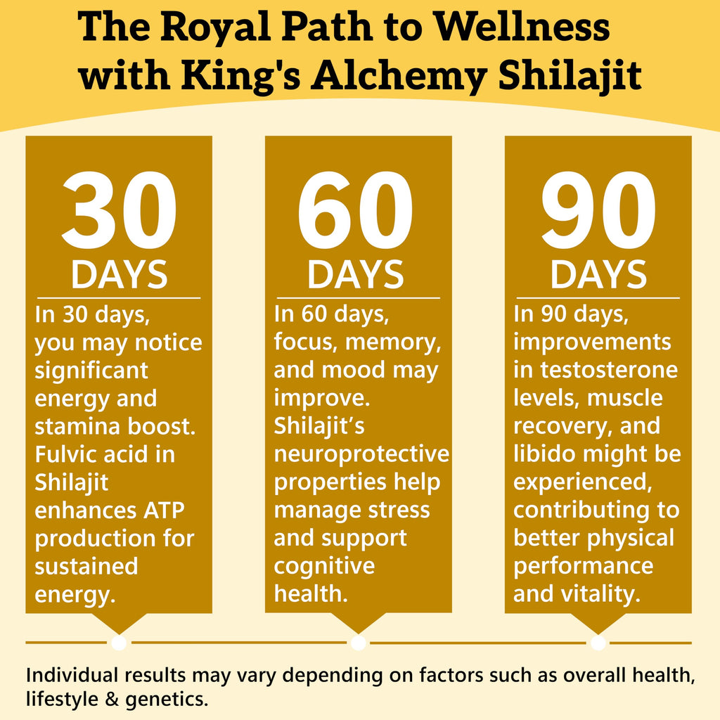 boost your vitality with shilajit