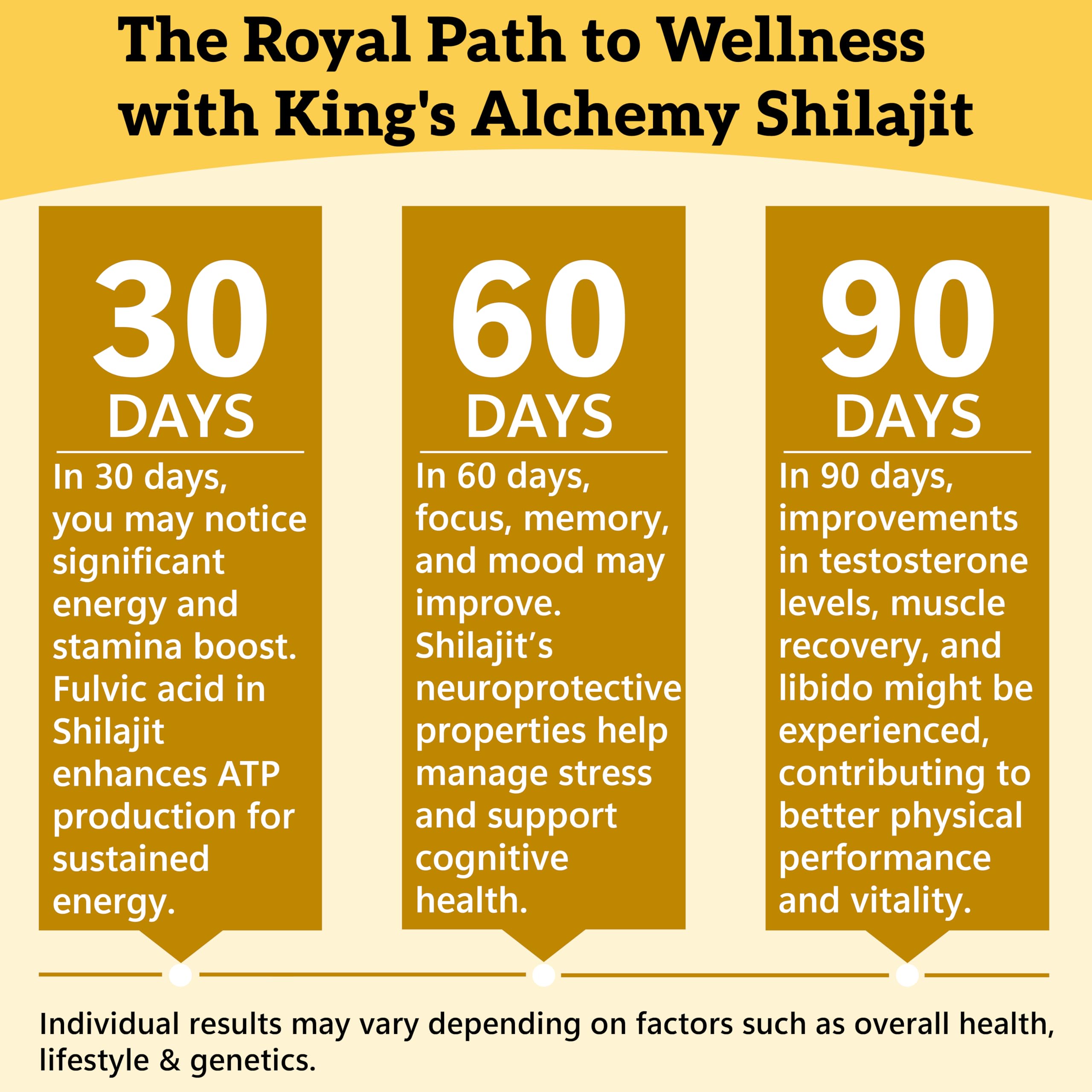 boost your vitality with shilajit