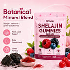 Boost your vitality with Shilajit