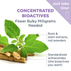 boost your wellness with ashwagandha