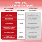 Boost your wellness with berberine