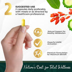boost your wellness with berberine