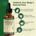 Boost your wellness with dandelion