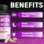 Boost your wellness with echinacea