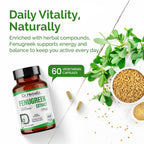 Boost your wellness with fenugreek