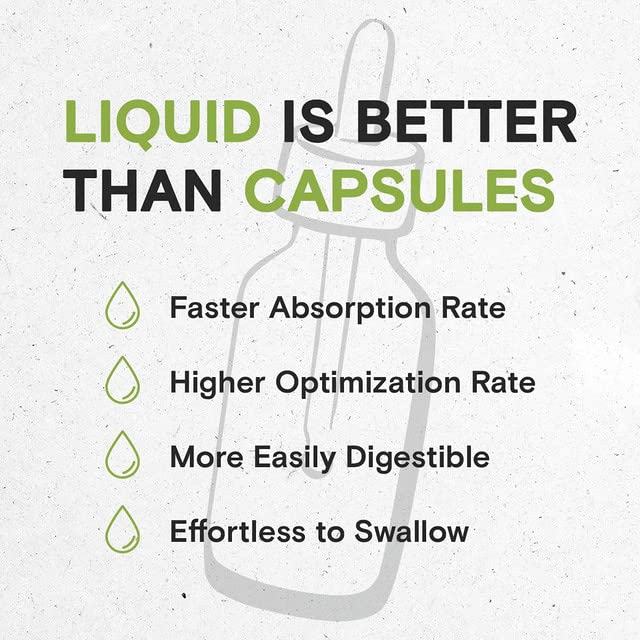 boost your wellness with ginkgo