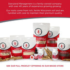 boost your wellness with ginseng