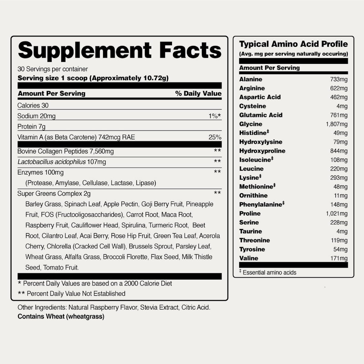 boost your wellness with greens powders