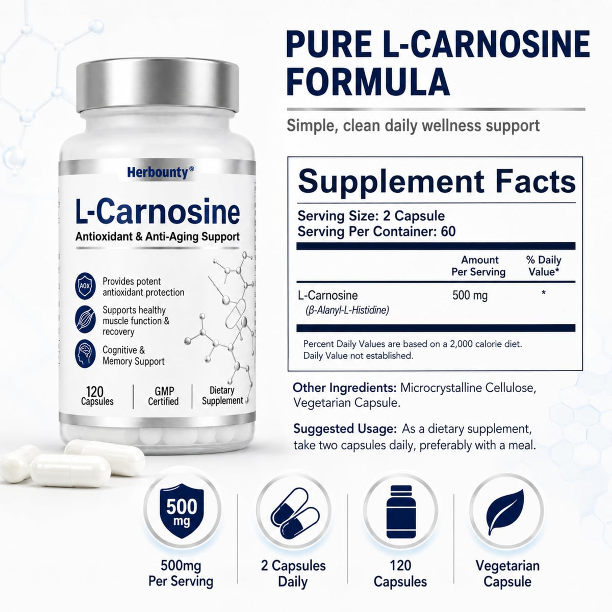 Boost your wellness with L-Carnosine
