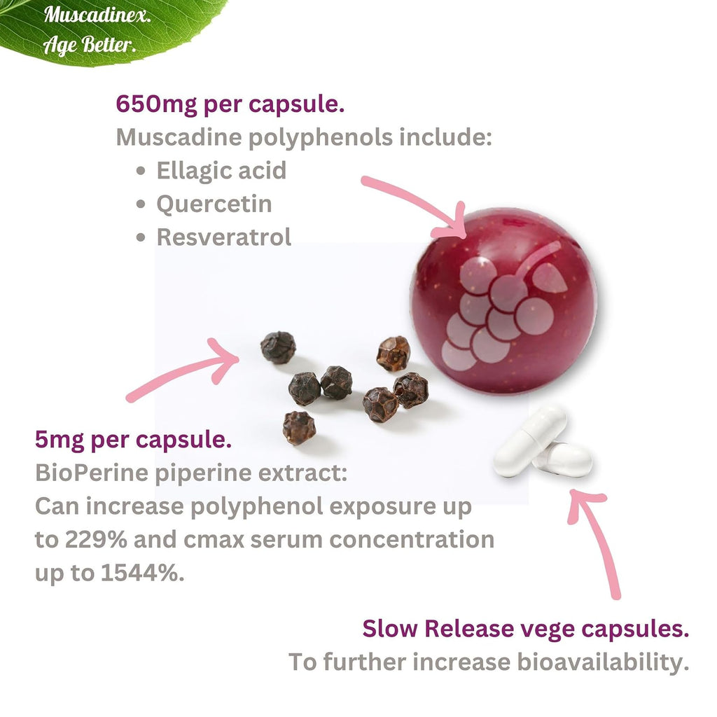 boost your wellness with muscadine