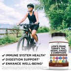 boost your wellness with mushrooms